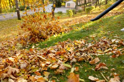 Leaf Clean Up in Hunterdon County - Ace Leaf Removal